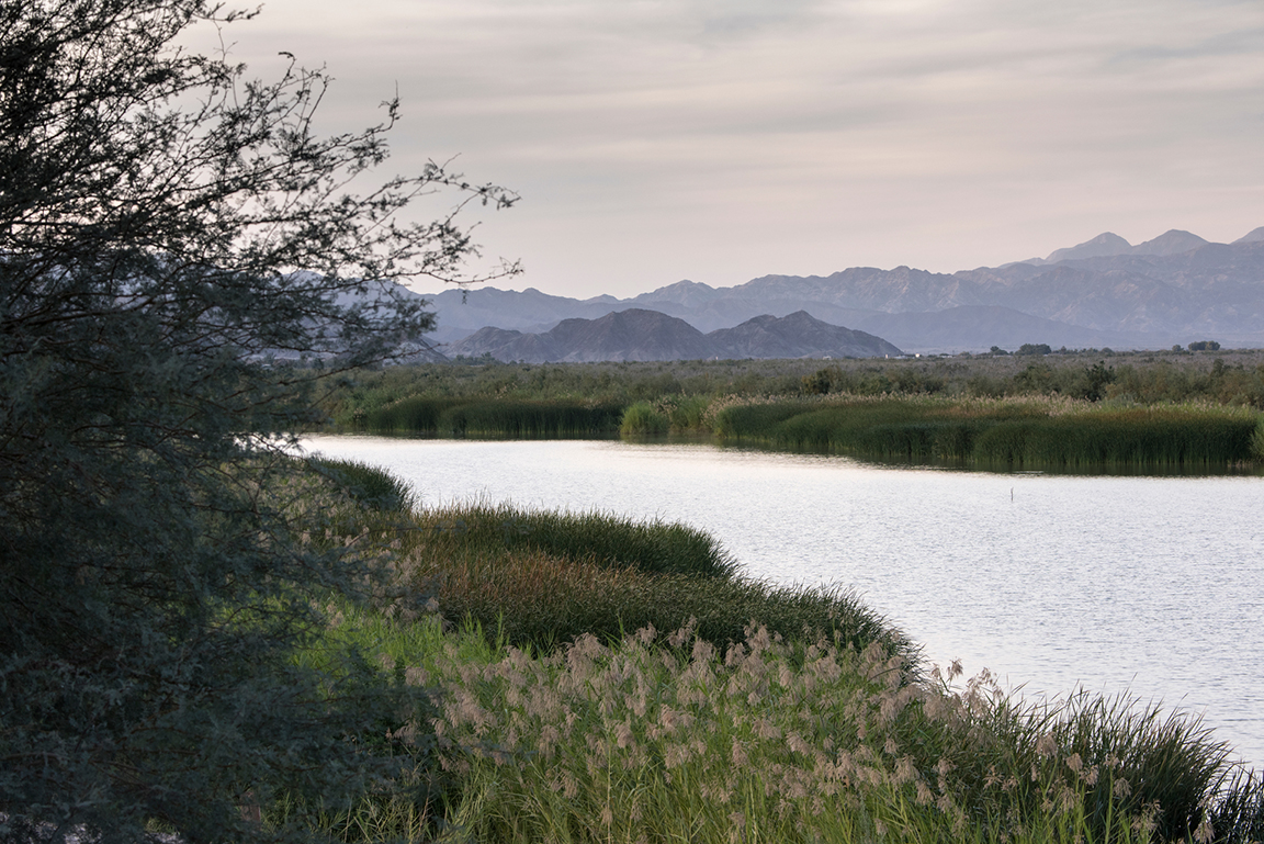 A Journey Along the Santa Cruz River Continues