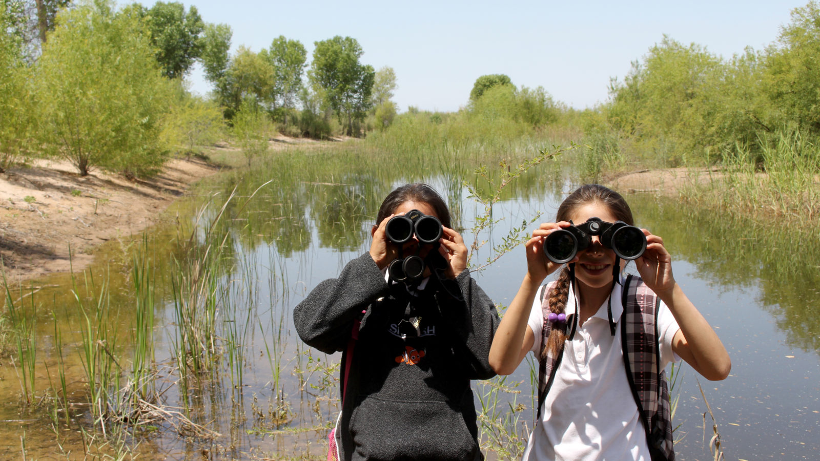 What can a river teach us?