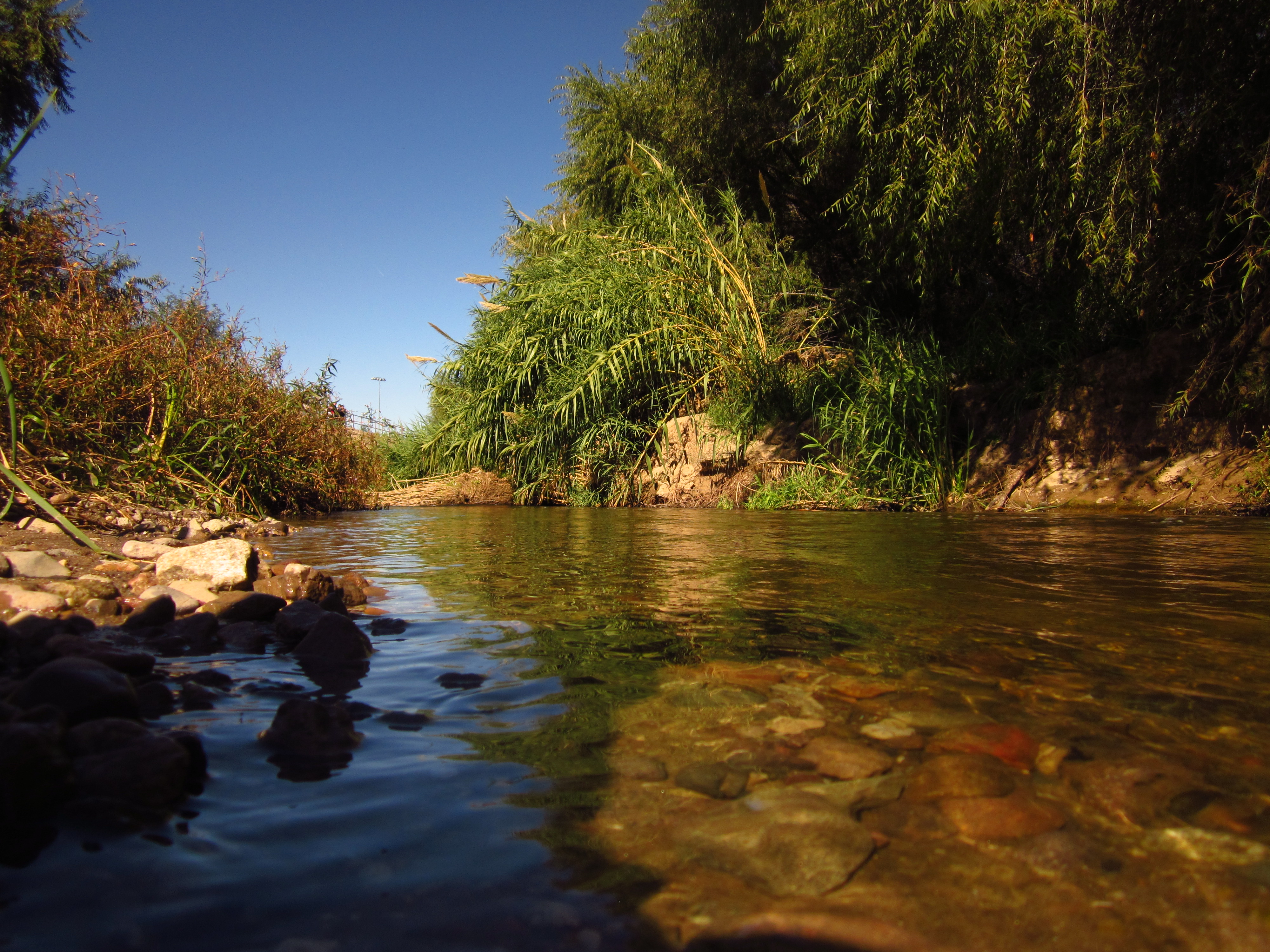 Newly Released Living River Report Demonstrates Sustained Improvements