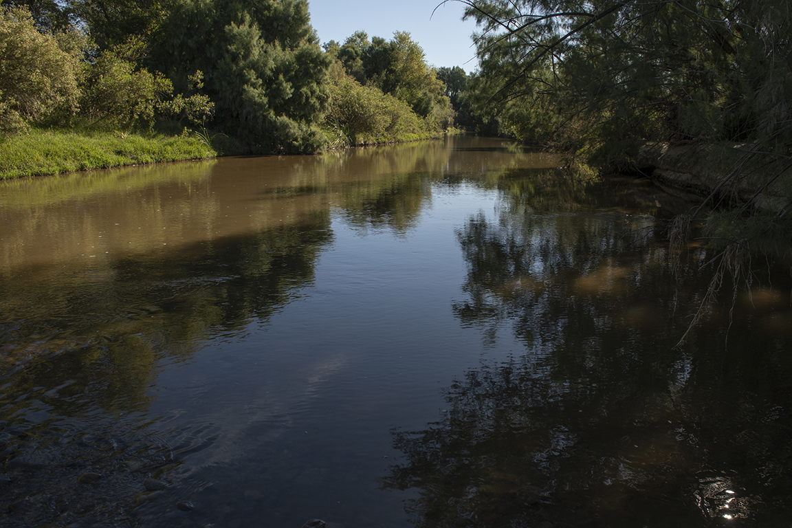 Creating Flowing, Living Rivers with Aquifer Recharge Projects ...