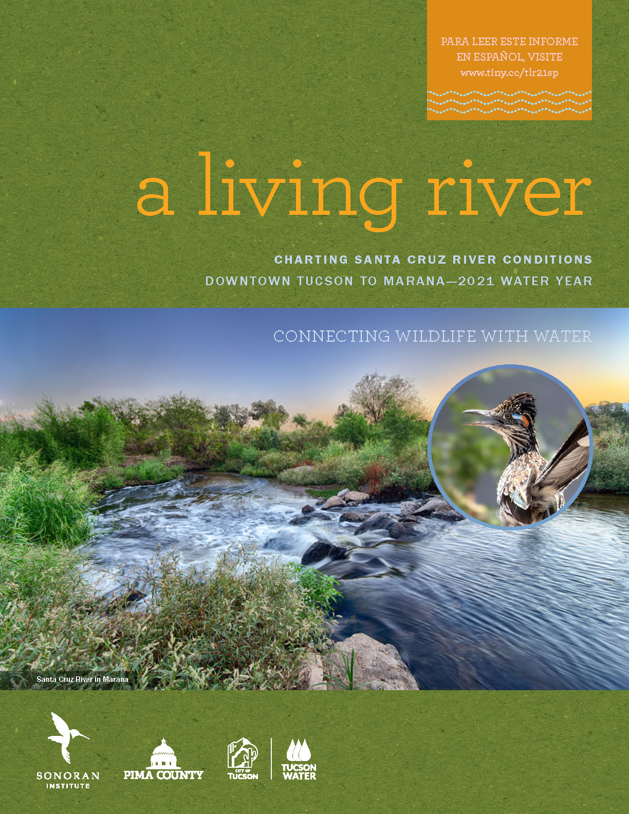 A Living River: Charting Santa Cruz River Conditions (2021 Water Year)