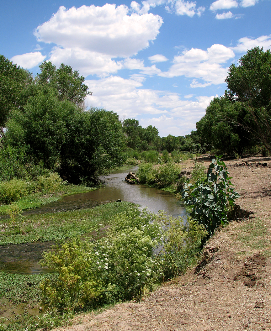 Sonoran Institute International Outfall Interceptor Santa Cruz River