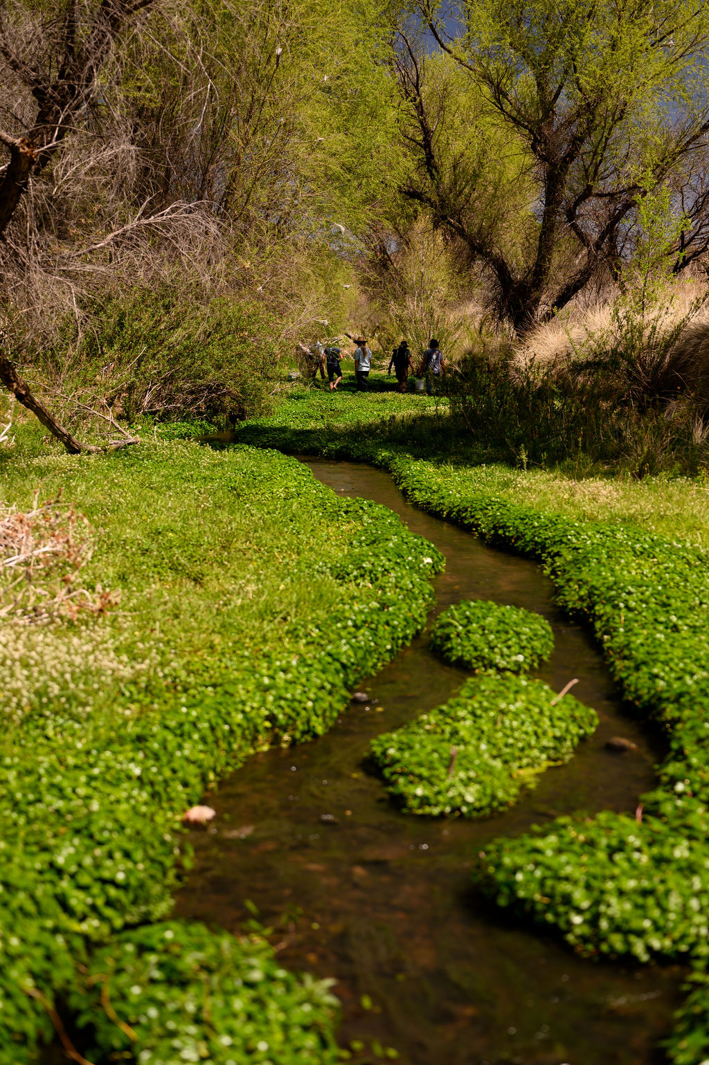 Request for Proposals - Santa Cruz River Economic Analysis