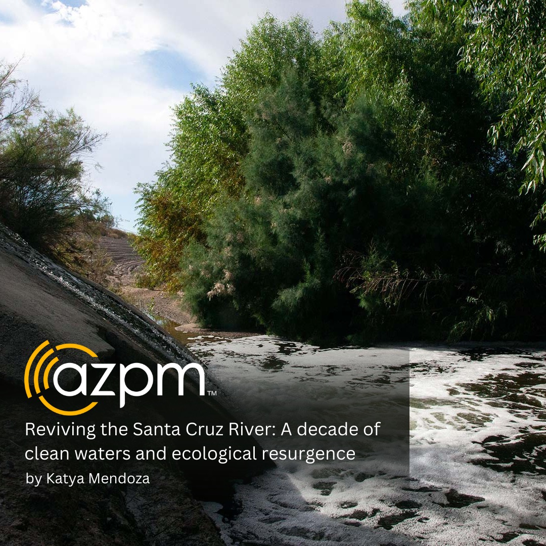 Reviving the Santa Cruz River: A decade of clean waters and ecological ...